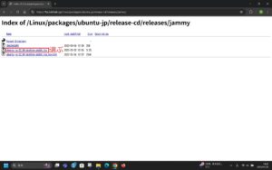 Rufusを使ってUbuntuのライブUSBを作成する | もちもちメモ